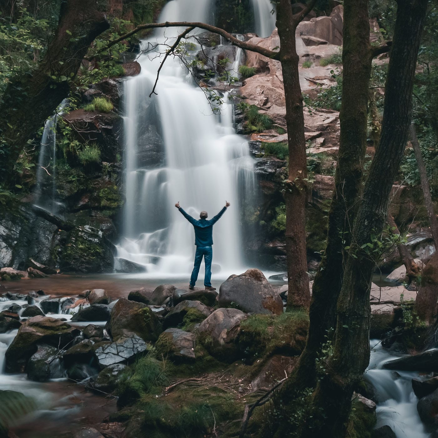 Natural Rhythm Nutrition -Premium Supplements to Help you Fight Stress